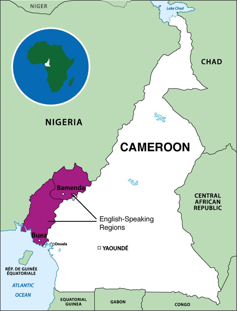 Exploring unarmed civilian self-protection in Cameroon’s Anglophone ...